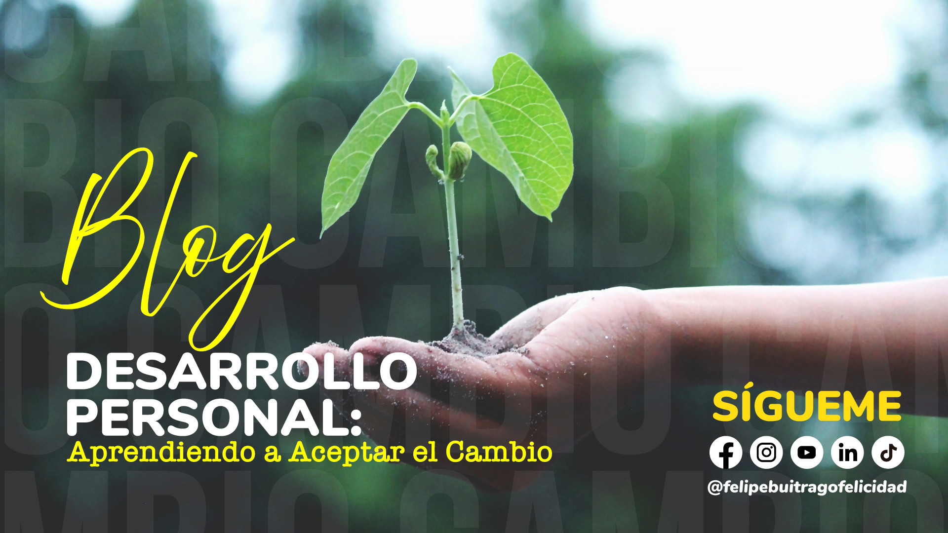 Desarrollo Personal: Aprendiendo a Aceptar el Cambio - Felipe Buitrago